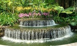 Top Rated Water Features Contractors for Fairfield, CA