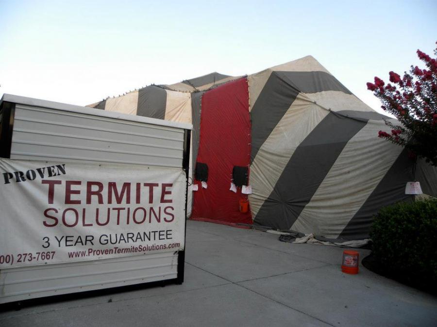 Proven Termite Solutions | Diamond Certified