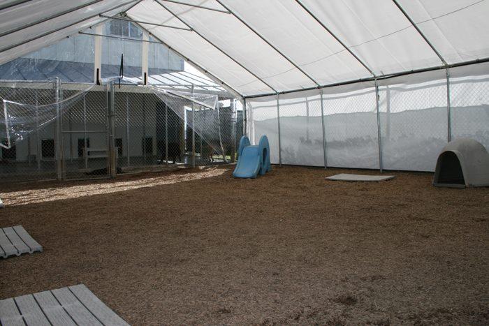 Four Paws Pet Ranch | Sonoma County Pet Boarding | Diamond Certified