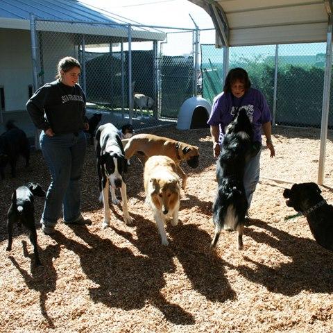 Four Paws Pet Ranch | Sonoma County Pet Boarding | Diamond Certified