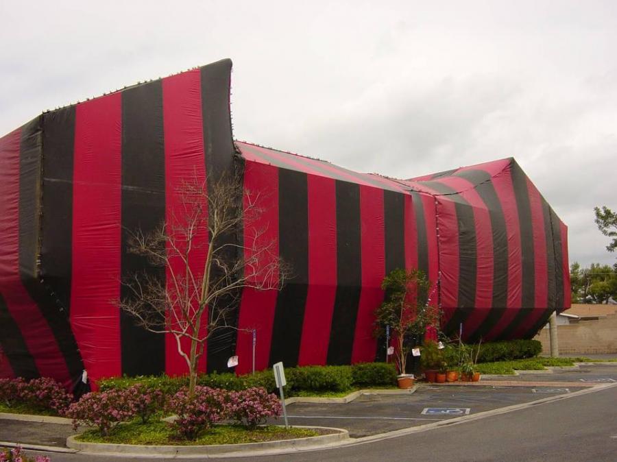 Proven Termite Solutions | Diamond Certified