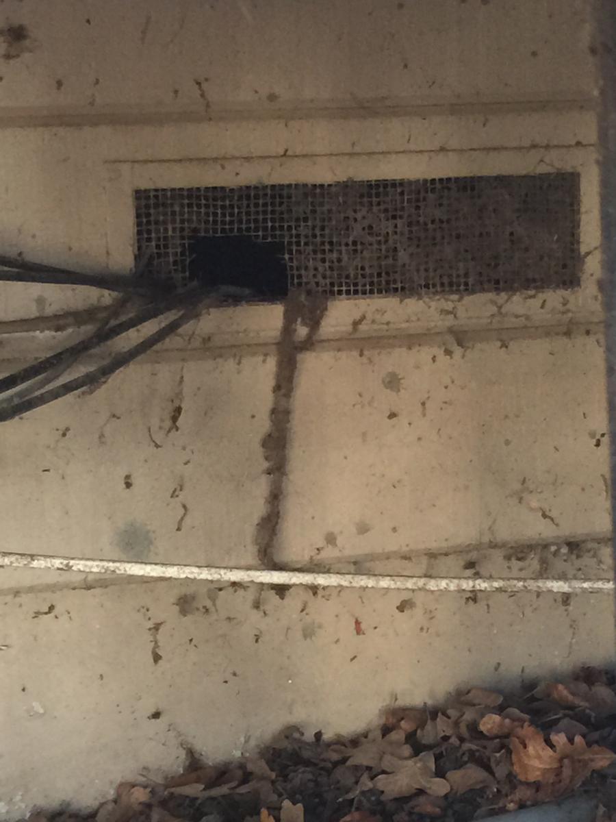 Redwood Empire Termite & Pest Control | Diamond Certified