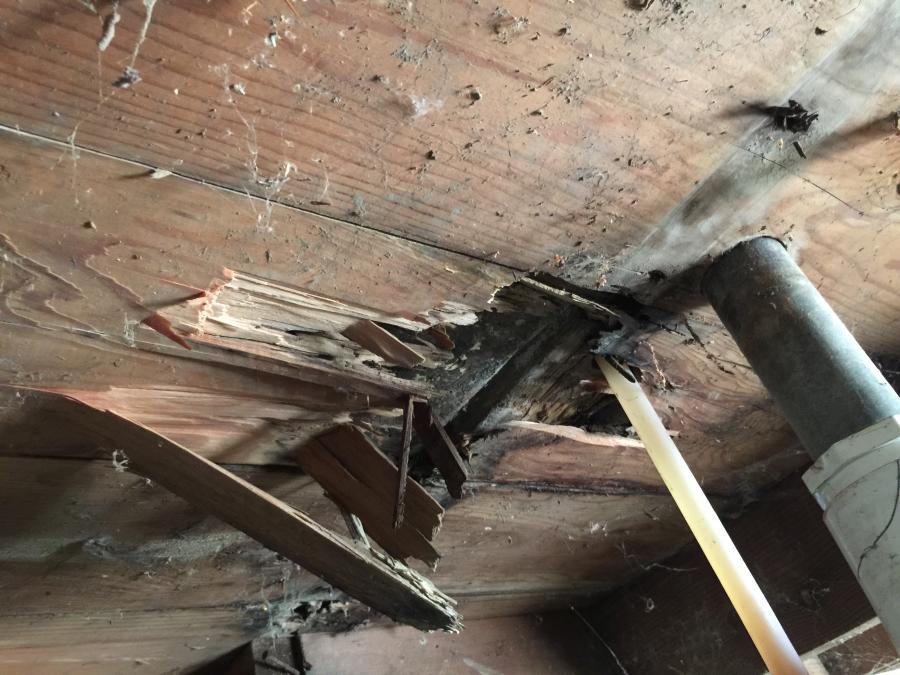 Redwood Empire Termite & Pest Control | Diamond Certified