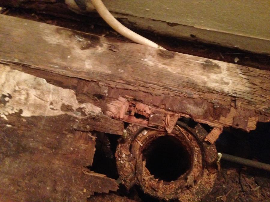 Redwood Empire Termite & Pest Control | Diamond Certified