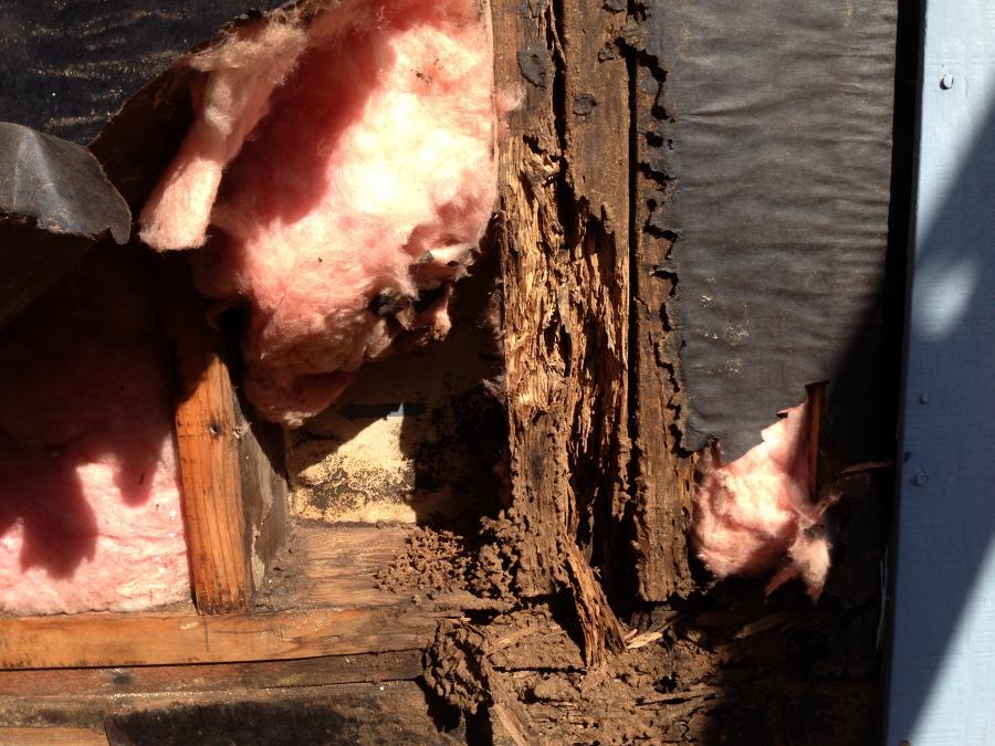 Redwood Empire Termite & Pest Control | Diamond Certified