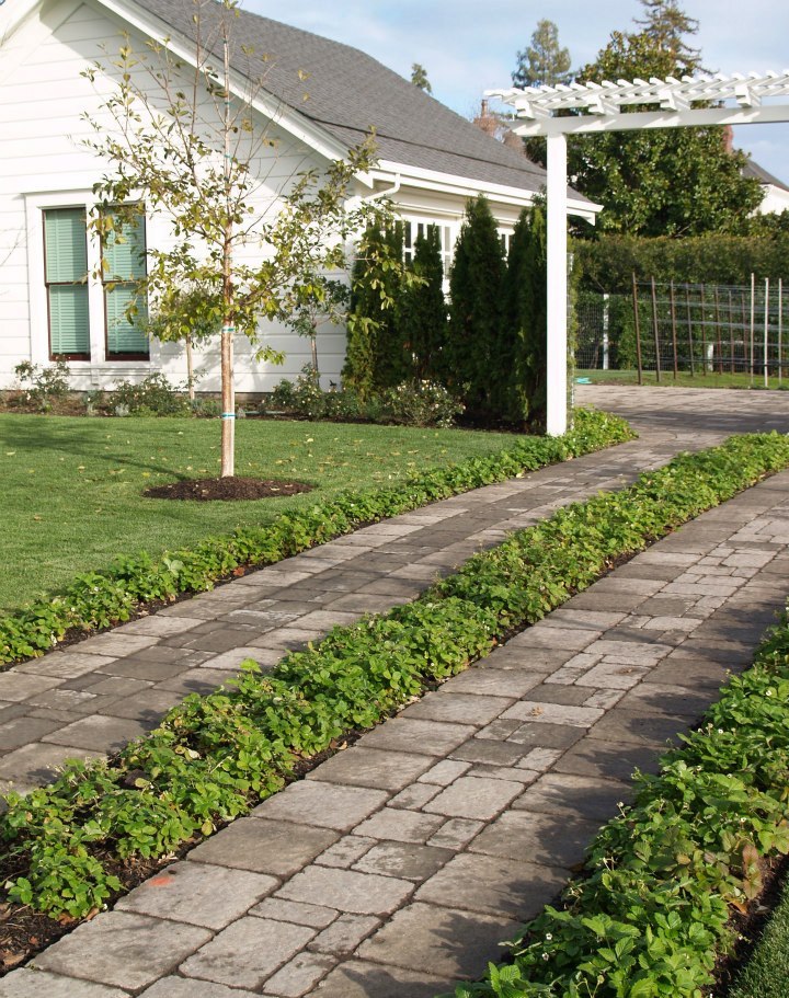 Pavers Bay Area | The Legacy Paver Group | Diamond Certified