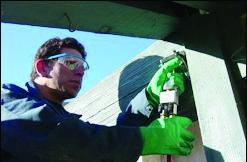 Proven Termite Solutions | Diamond Certified