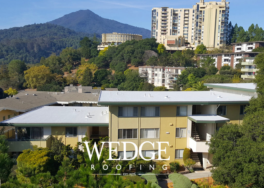 Wedge Roofing | Diamond Certified