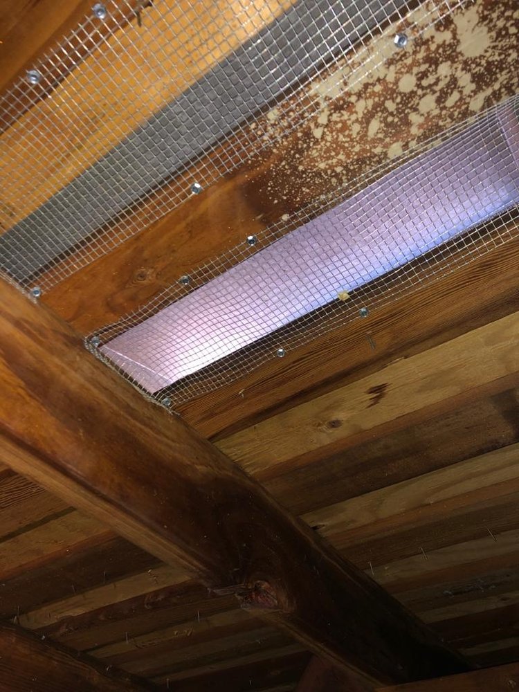 Alley Cat | Diamond Certified | Oakland Attic Cleaning & Rodent Control