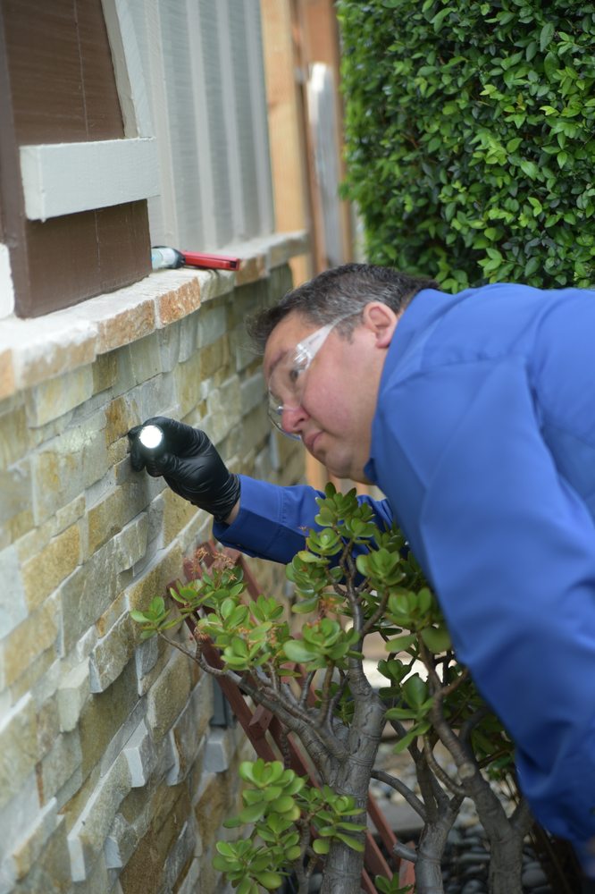 Presto Pest Control, Inc. | Diamond Certified | San Jose Pest Control
