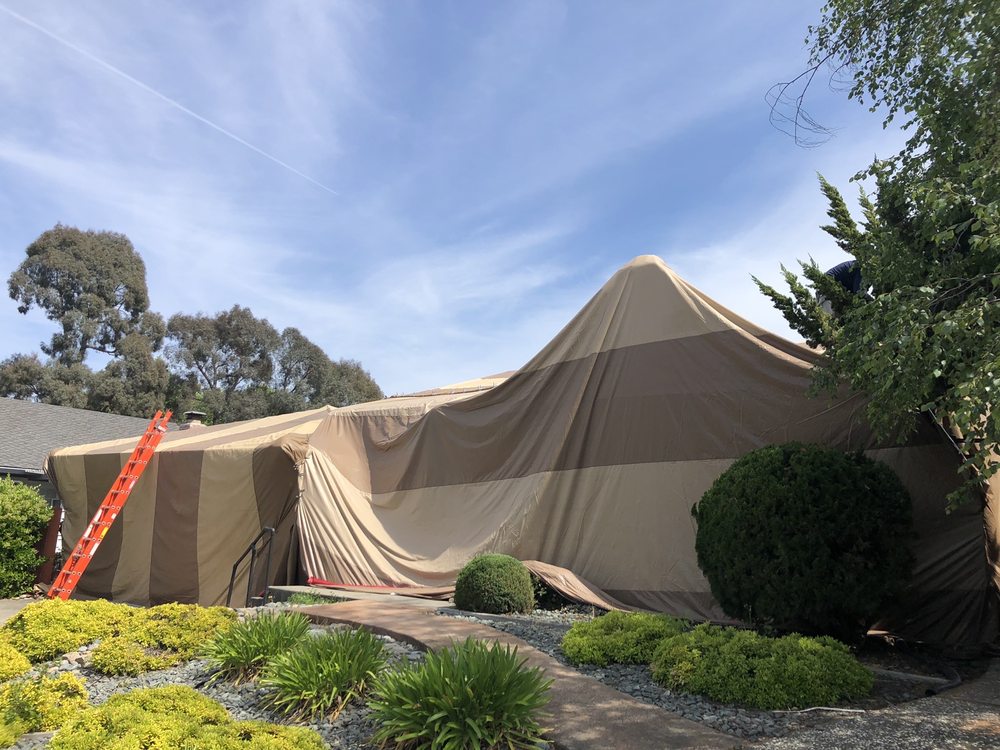 Great Wall Termite Control | Diamond Certified