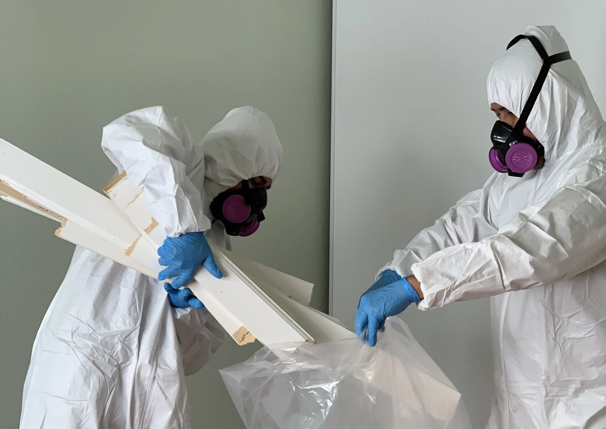 Mold Removal & Repair FAQs | Diamond Certified