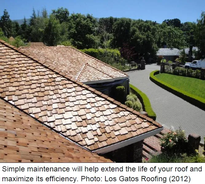 Tips for Maintaining Your Roof | Diamond Certified